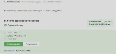 Прохождение внешнего курса на Stepik ("Введение в Linux") | My Multilingual Site